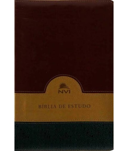 Bíblia De Estudo Nvi Verde Bege E Vinho Recomendado